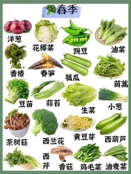 蔬菜有哪些品种_常见蔬菜种类大全-第2张图片-山城妙识