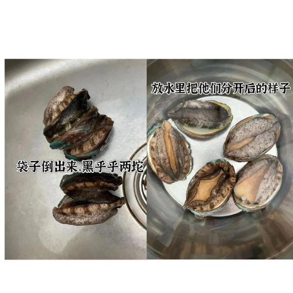 鲍鱼冷冻保存方法_鲍鱼冷冻能放多久-第2张图片-山城妙识