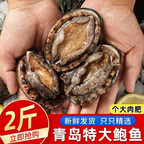 鲍鱼冷冻保存方法_鲍鱼冷冻能放多久-第3张图片-山城妙识