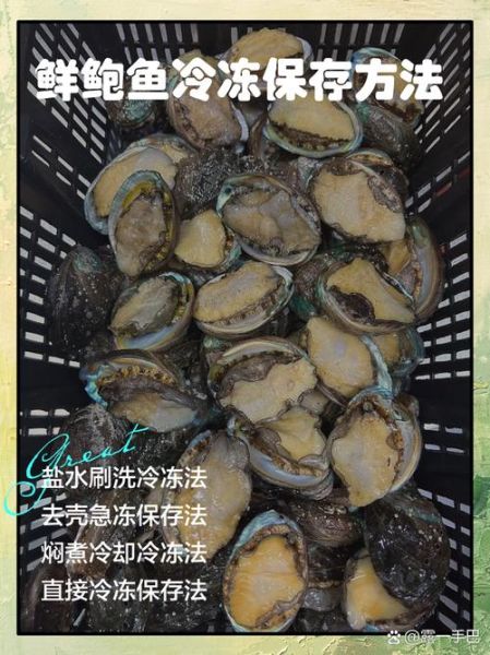 鲍鱼冷冻保存方法_鲍鱼冷冻能放多久-第1张图片-山城妙识
