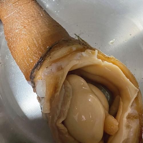 象拔蚌是什么污梗_象拔蚌污梗出处-第3张图片-山城妙识