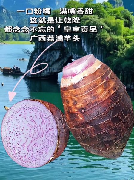 荔浦芋头功效与禁忌_什么人不能吃-第3张图片-山城妙识