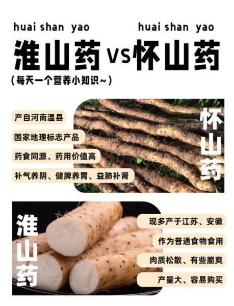 淮山和山药的区别_功效与作用一样吗-第3张图片-山城妙识