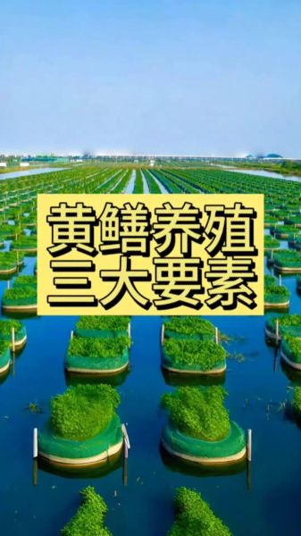 黄鳝养殖技术哪里学_黄鳝养殖培训哪家好-第1张图片-山城妙识