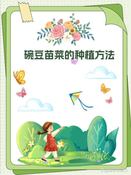 豆苗菜怎么种_豆苗菜种植方法步骤-第2张图片-山城妙识