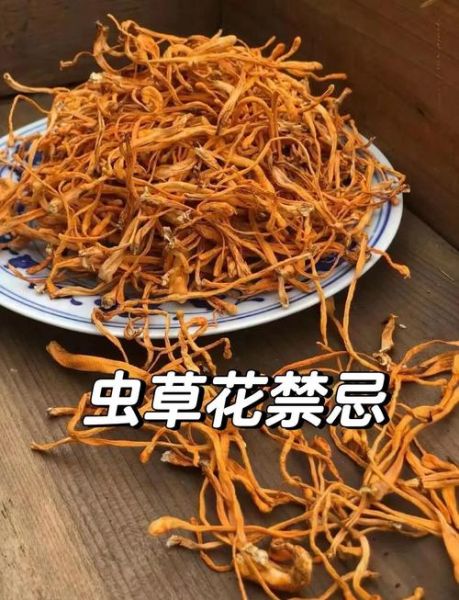 虫草花是凉性还是热性_食用禁忌与体质搭配-第1张图片-山城妙识