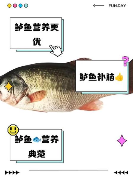 鲫鱼刺多吗_还是鲈鱼-第1张图片-山城妙识