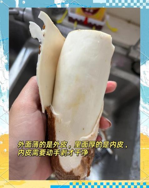 新鲜木薯怎么吃_木薯怎么去皮最安全-第1张图片-山城妙识