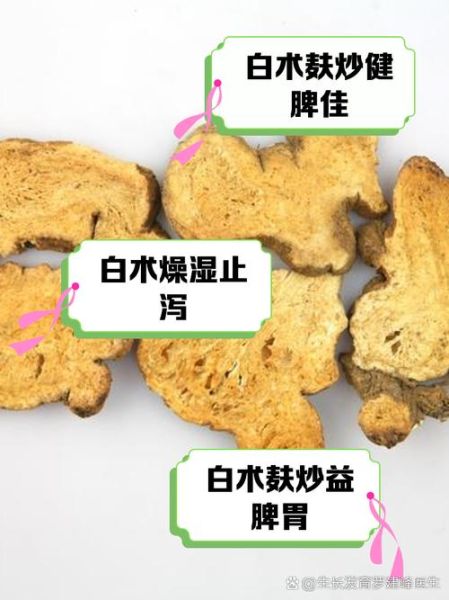 麸炒白术的功效与作用_麸炒白术的禁忌有哪些-第2张图片-山城妙识