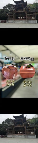 猪血和鸭血有什么区别_哪个更营养-第2张图片-山城妙识