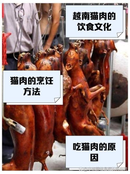 猫肉怎么做好吃_猫肉烹饪方法大全-第1张图片-山城妙识
