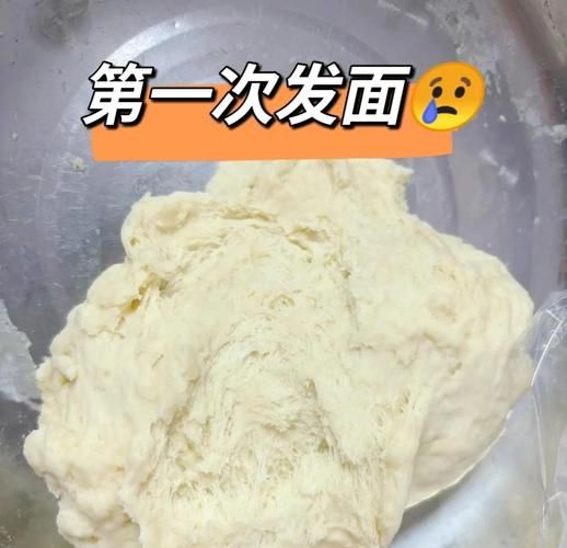 自然发酵面团要多久_如何判断发酵成功-第1张图片-山城妙识