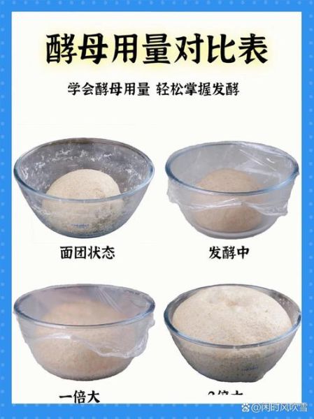 自然发酵面团要多久_如何判断发酵成功-第3张图片-山城妙识