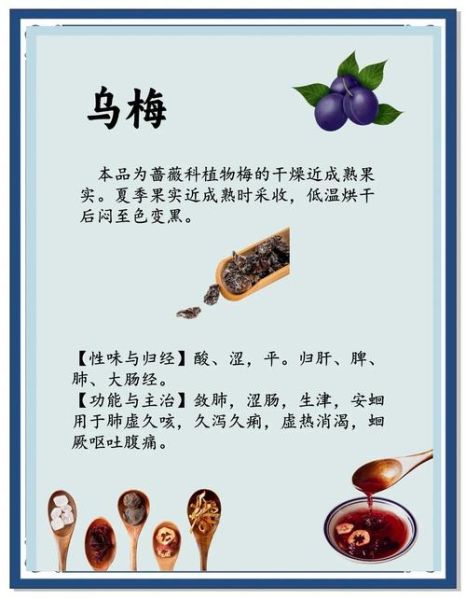 酸梅酒的功效与作用_酸梅酒哪些人不能喝-第1张图片-山城妙识