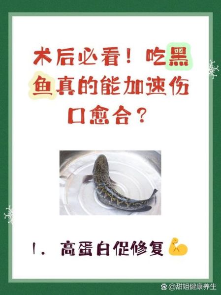 术后吃黑鱼最佳时间_黑鱼术后第几天能吃-第1张图片-山城妙识