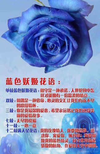 蓝色妖姬代表什么含义_蓝色妖姬花语大全-第3张图片-山城妙识
