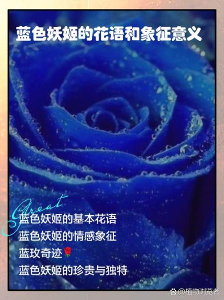 蓝色妖姬代表什么含义_蓝色妖姬花语大全-第1张图片-山城妙识