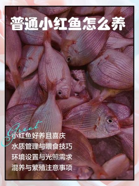 小红鱼app怎么赚钱_小红鱼app靠谱吗-第2张图片-山城妙识
