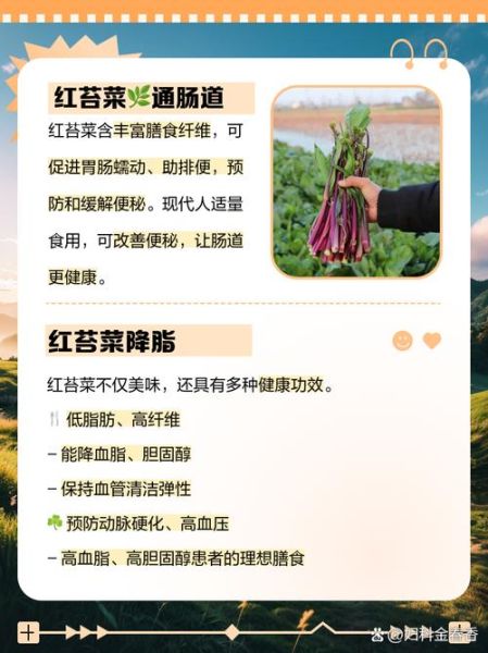红菜苔的功效与作用_孕妇能吃吗-第1张图片-山城妙识