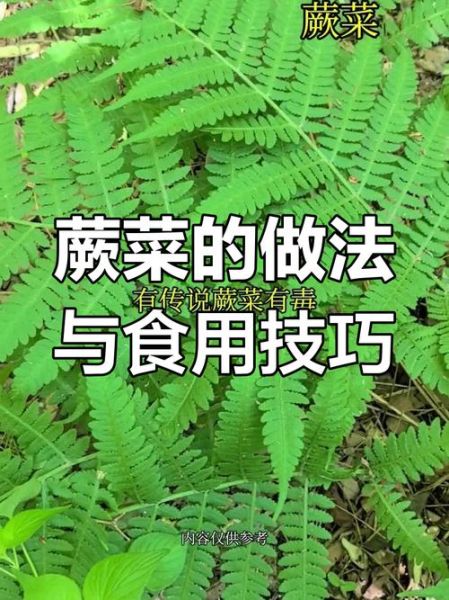 拌野菜的做法大全_野菜怎么拌才好吃-第3张图片-山城妙识