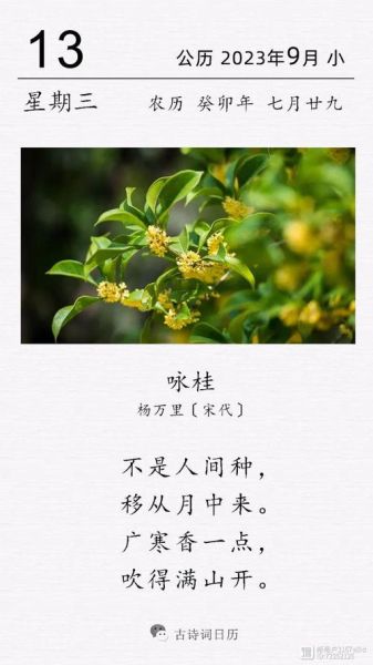 桂花诗句有哪些_古人如何咏桂-第1张图片-山城妙识