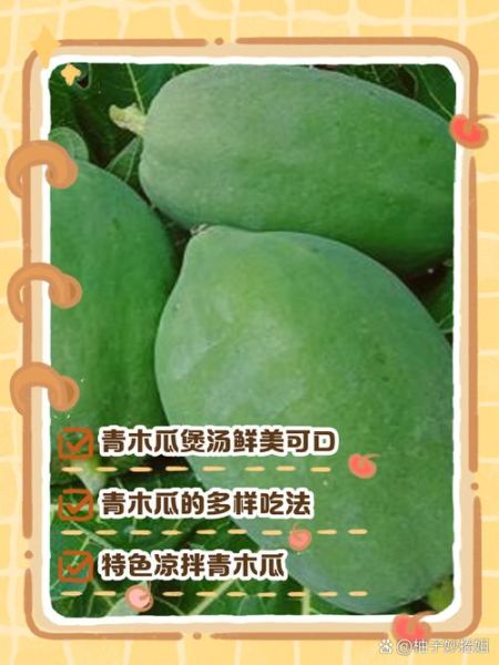 青木瓜怎么吃最好_青木瓜的正确吃法-第1张图片-山城妙识