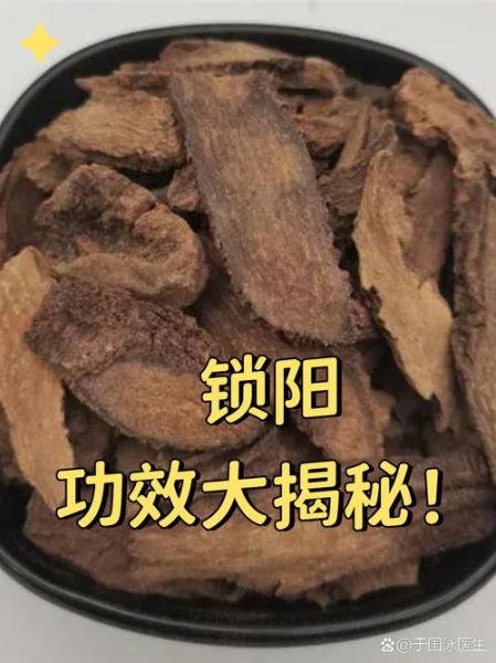 锁阳的功效与作用_锁阳能提高性功能吗-第1张图片-山城妙识
