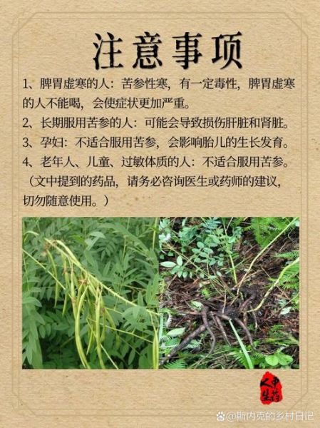 苦参的功效与作用_苦参能治哪些皮肤病-第3张图片-山城妙识