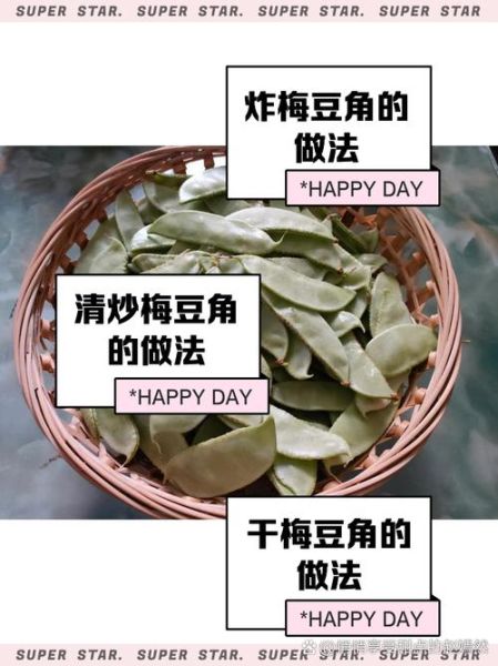 梅豆角怎么炒才好吃_梅豆角中毒症状-第1张图片-山城妙识