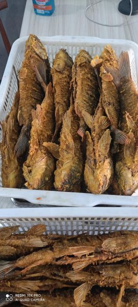 鲤鱼怎么做好吃_鲤鱼清蒸还是红烧-第2张图片-山城妙识 鲤鱼怎么做好吃_鲤鱼清蒸还是红烧-第2张图片-山城妙识