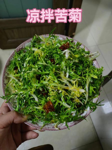 苦菊怎么做好吃不苦_苦菊去苦味的家常做法-第2张图片-山城妙识