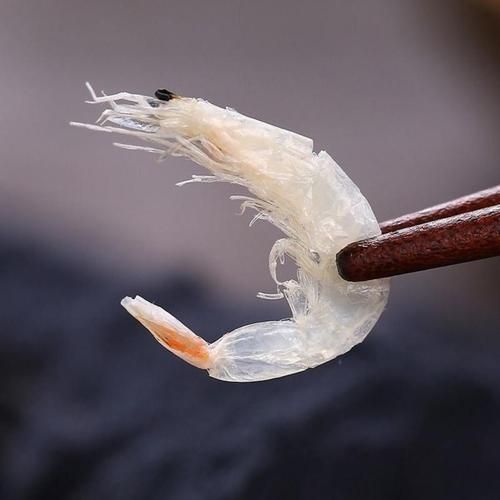 虾米皮补钙吗_虾米皮怎么吃最营养-第2张图片-山城妙识