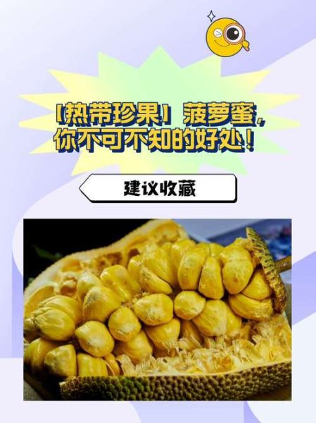 菠萝蜜的功效与作用_禁忌人群有哪些-第3张图片-山城妙识