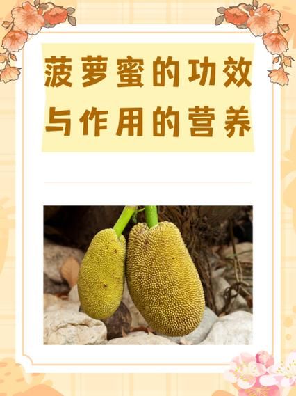 菠萝蜜的功效与作用_禁忌人群有哪些-第2张图片-山城妙识