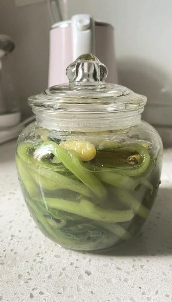 自制泡菜怎么腌制_泡菜腌制多久可以吃-第3张图片-山城妙识