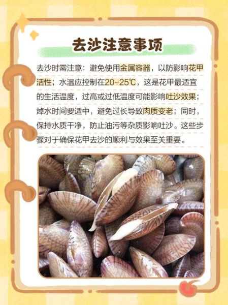 花甲怎么吐沙子_花甲吐沙子最快的方法-第3张图片-山城妙识