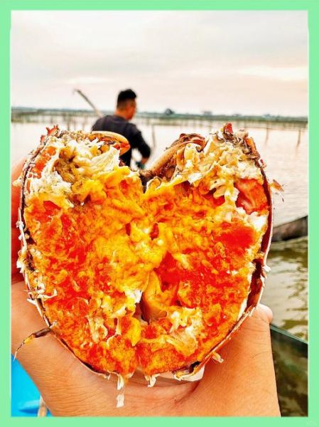 阳澄湖大闸蟹多少钱一只_2024最新行情-第3张图片-山城妙识