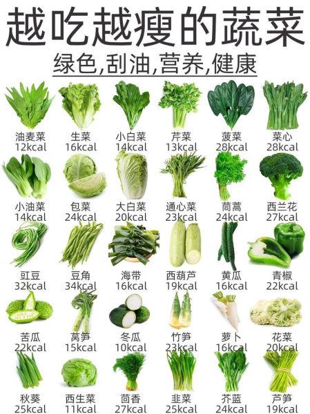 青菜有哪些种类_青菜图片名称大全-第1张图片-山城妙识