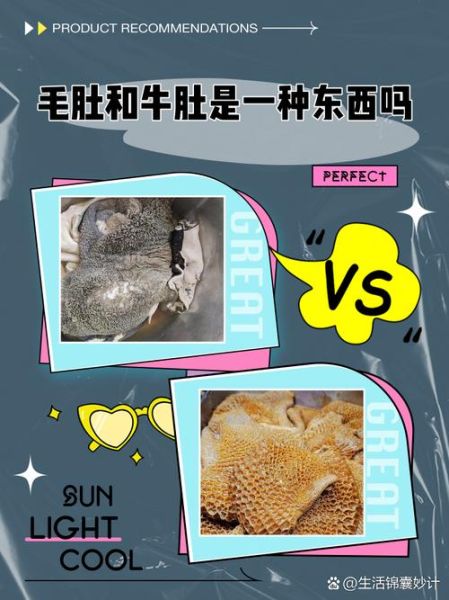 毛肚是牛的哪个部位_毛肚和牛肚的区别-第1张图片-山城妙识