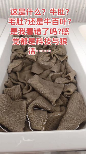 毛肚是牛的哪个部位_毛肚和牛肚的区别-第2张图片-山城妙识