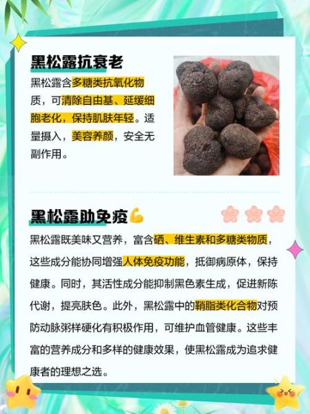 黑松露的功效与作用_怎么吃效果最好-第1张图片-山城妙识