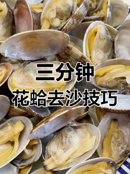 花蛤怎么快速吐沙子_2分钟吐沙秘诀-第1张图片-山城妙识