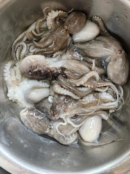 迷你小八爪鱼怎么清洗_迷你八爪鱼清洗技巧-第3张图片-山城妙识