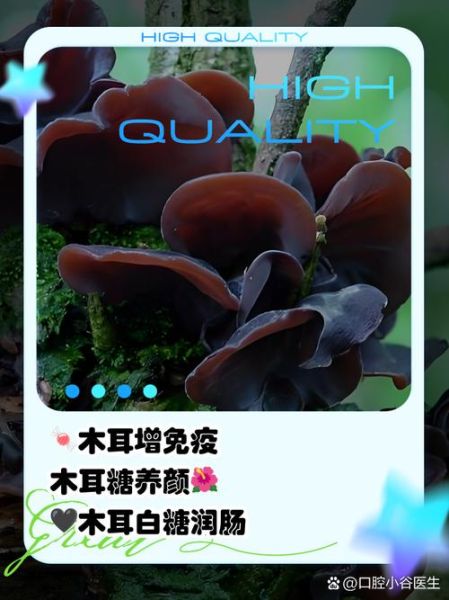 黑糯米的功效与作用_白木耳怎么吃最养肺-第3张图片-山城妙识
