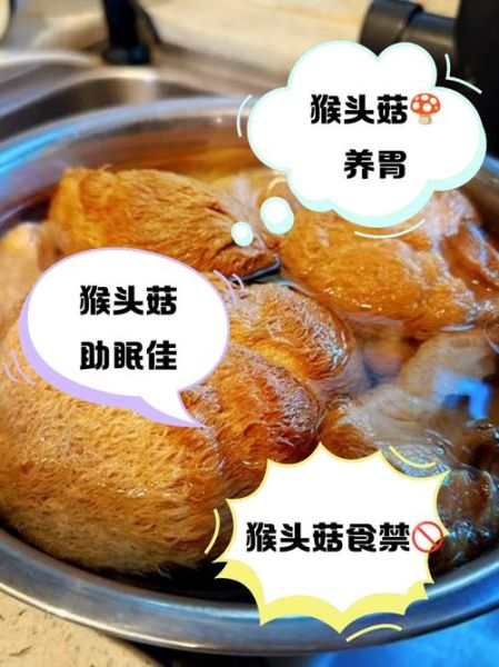 新鲜猴头菇的功效与作用禁忌_哪些人不能吃-第3张图片-山城妙识