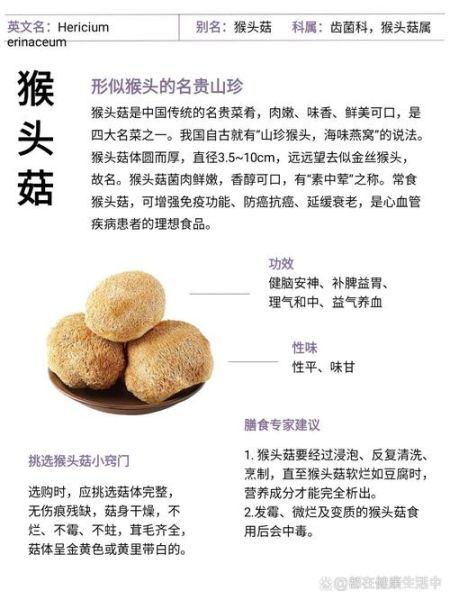 新鲜猴头菇的功效与作用禁忌_哪些人不能吃-第2张图片-山城妙识