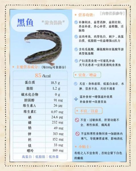 黑鱼的功效与作用_黑鱼适合什么人吃-第1张图片-山城妙识