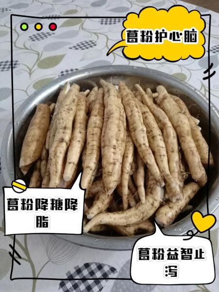 葛粉什么时候吃效果更佳_空腹还是饭后-第3张图片-山城妙识 葛粉什么时候吃效果更佳_空腹还是饭后-第3张图片-山城妙识