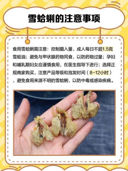 雪蛤的价格一般是多少_雪蛤多少钱一克-第3张图片-山城妙识 雪蛤的价格一般是多少_雪蛤多少钱一克-第3张图片-山城妙识