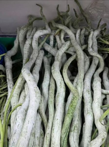 蛇瓜怎么吃_蛇瓜的食用方法有哪些-第1张图片-山城妙识